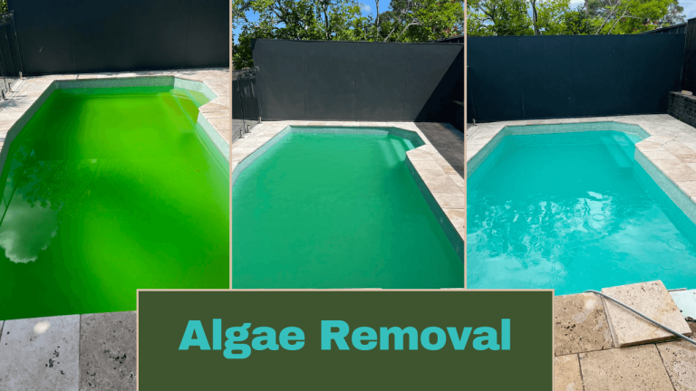 Algae in Your Pool Causes and Effective Removal – Pooltivity